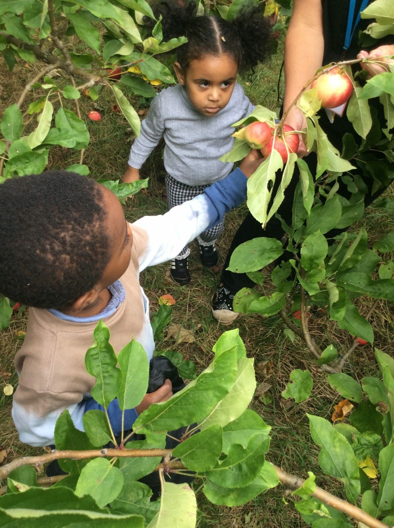 Outdoor Learning - Nottingham Nursery School & Training Centre